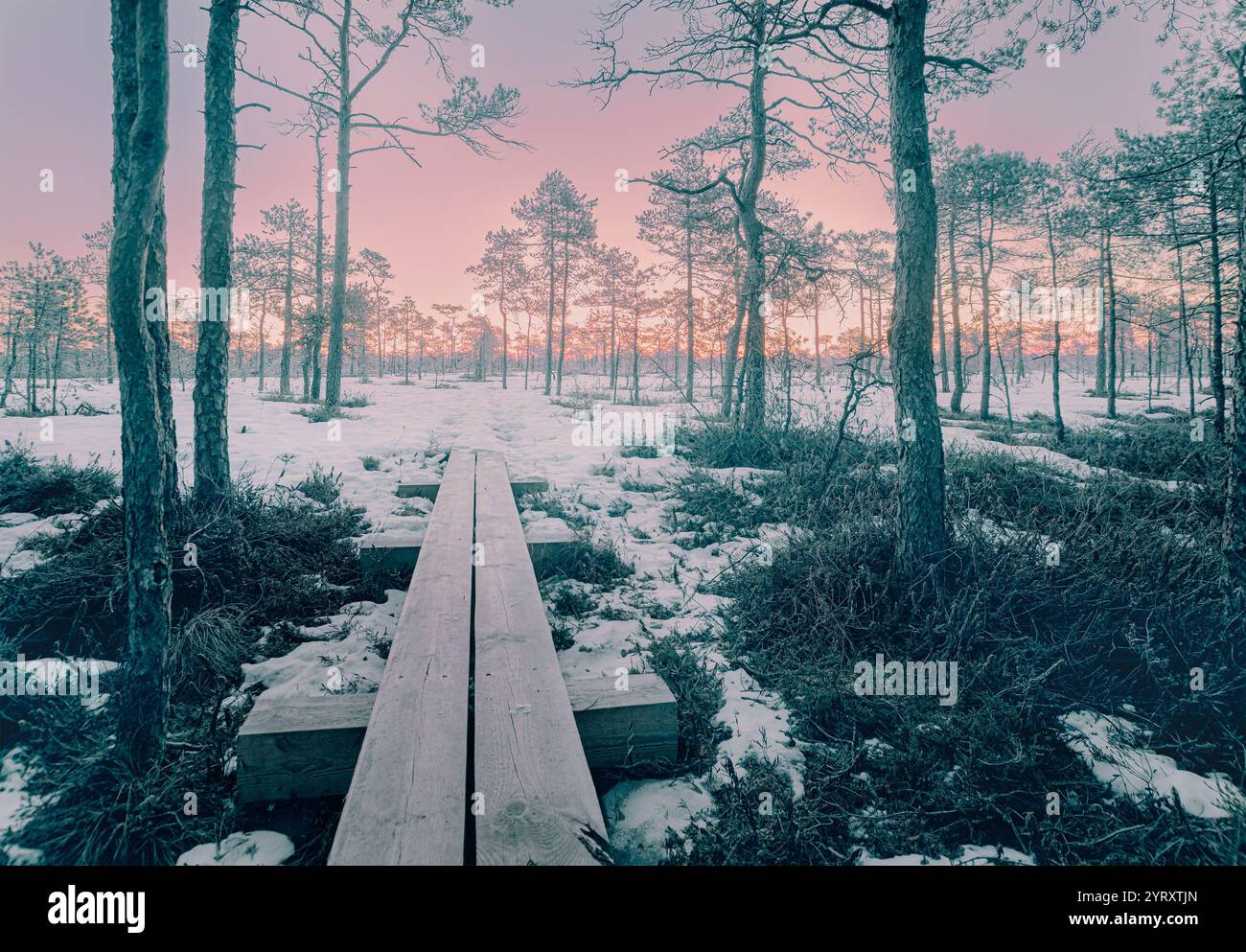 Frosty hiking trail hi-res stock photography and images - Alamy