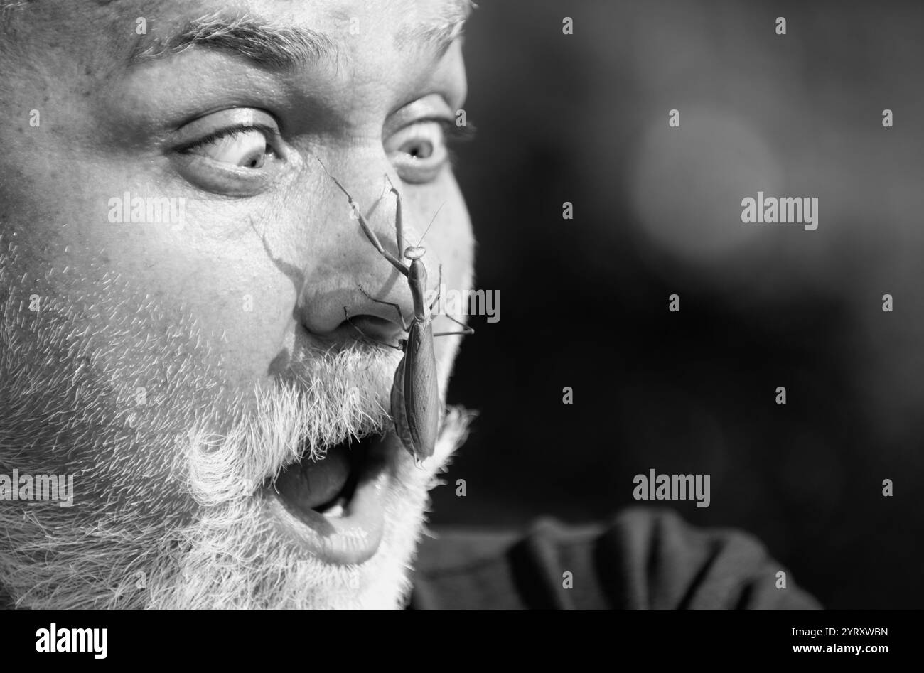 Funny face surprised look Black and White Stock Photos & Images - Alamy