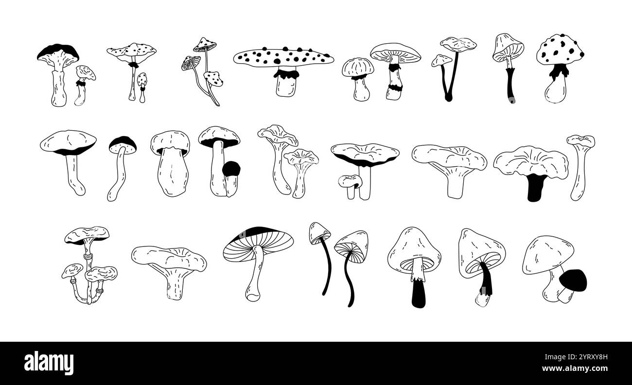 Autumn edible poisonous mushrooms Black and White Stock Photos & Images ...