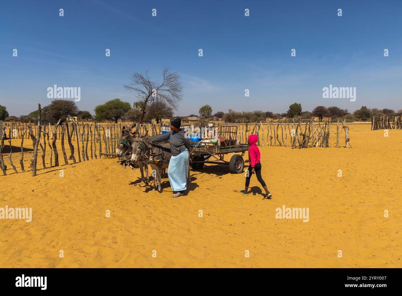 village, african mother with four children in the donkey cart carry ...