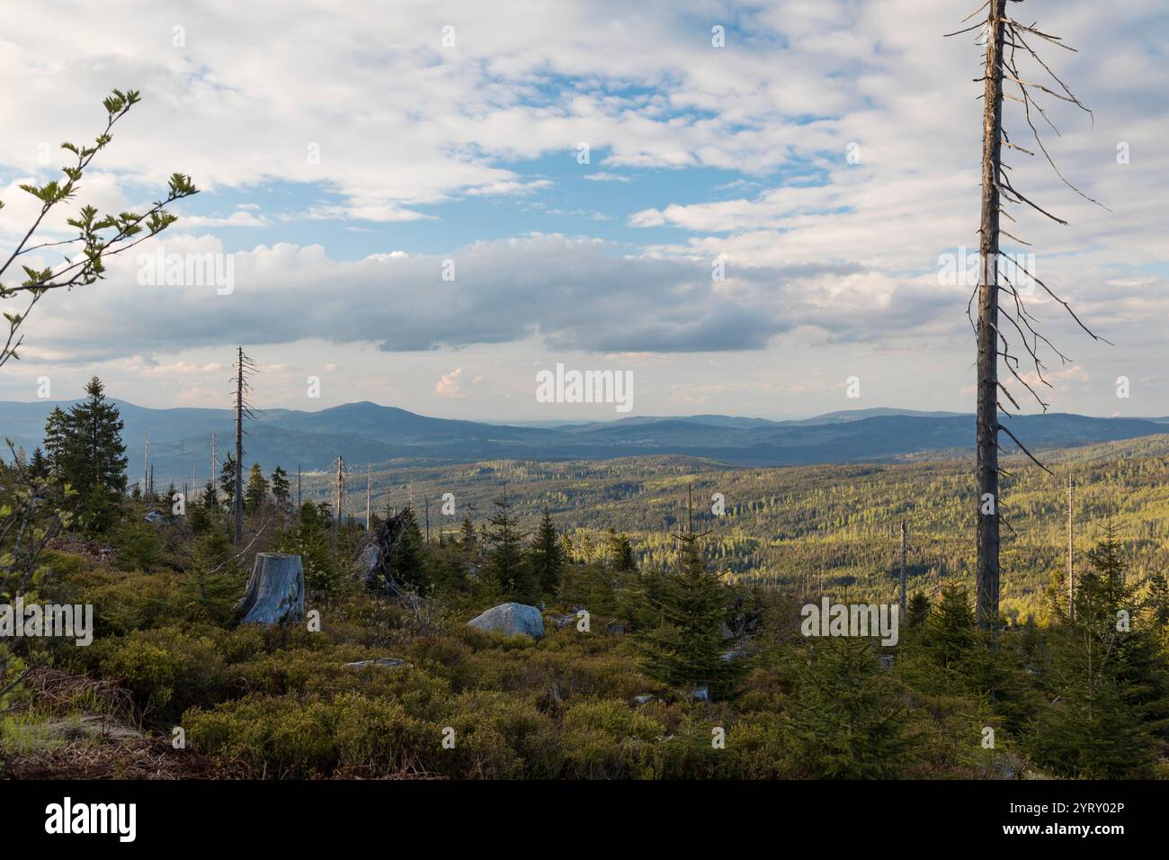 Aussicht vom Dreisessel-Berg, View from the Dreisessel Mountain Stock ...