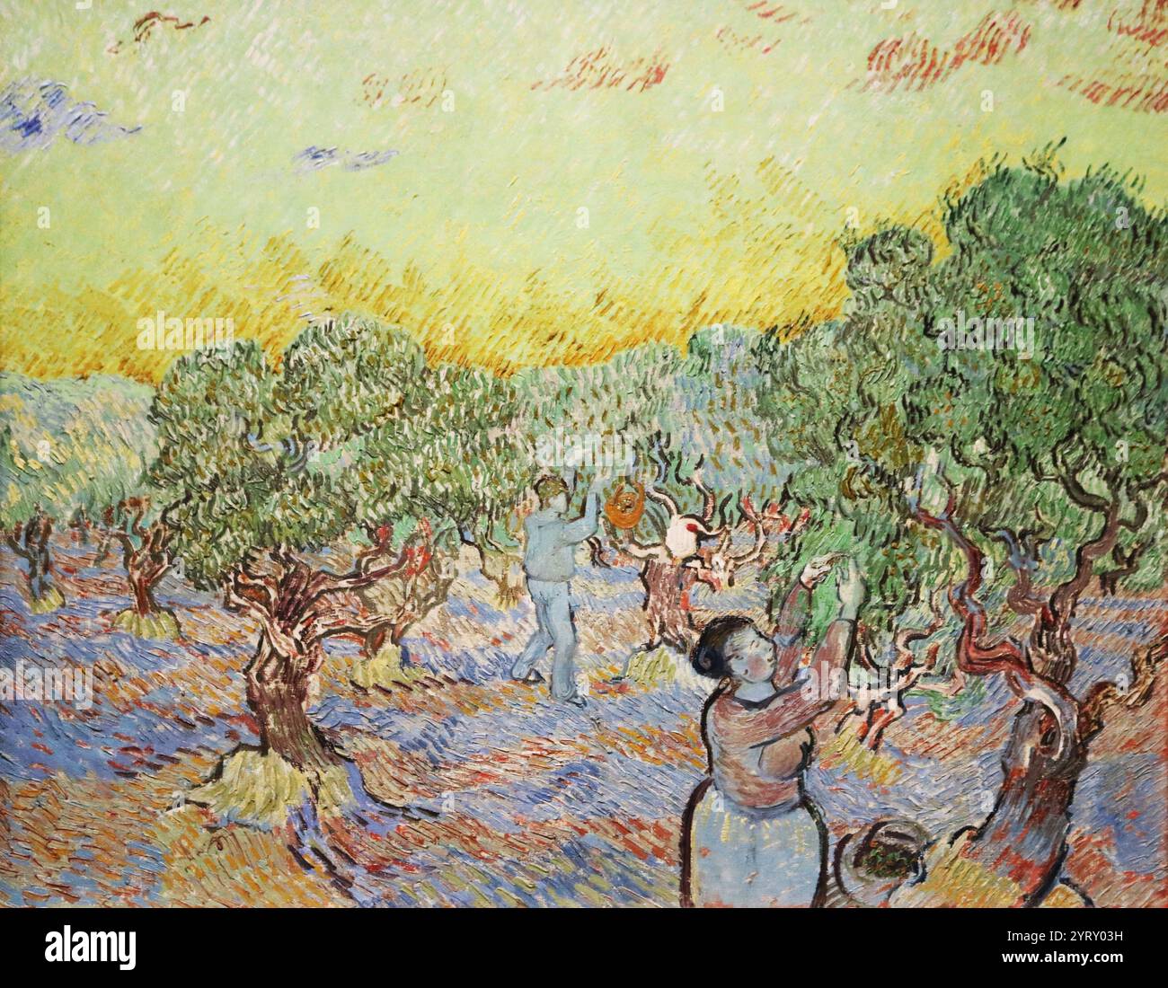 Diorama model depicting a Dutch colonial coffee plantation in Suriname ...