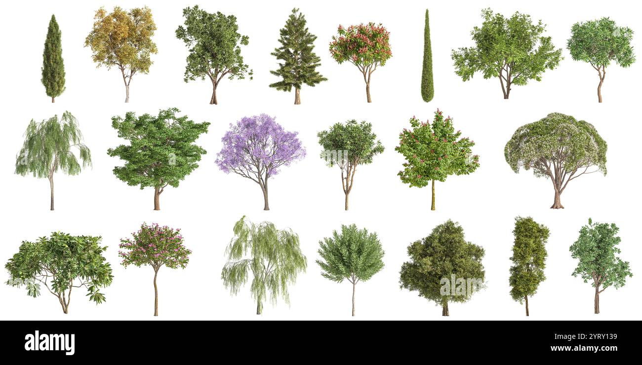 different types of trees and shrubs, isolated transparent background 3d Stock Photo - Alamy