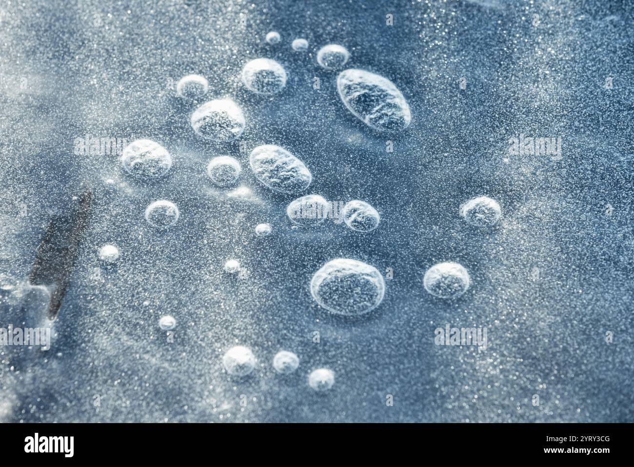 Frozen bubbles are under thin ice layer on a frozen lake, natural ...