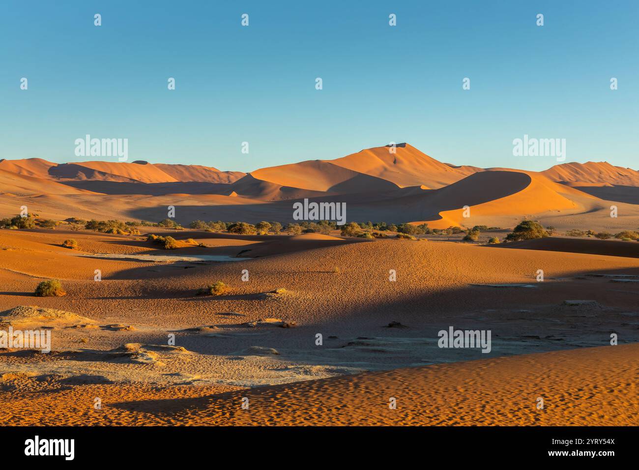 View of Big Mamma sand dune at sunrise in Sossusvlei, Namib Naukluft ...