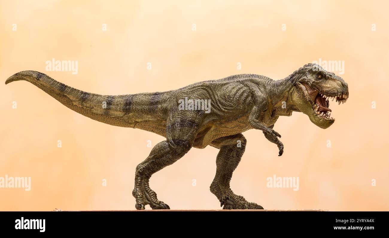 Plastic tyrannosaurus rex toy roaring and walking on two legs on an ...