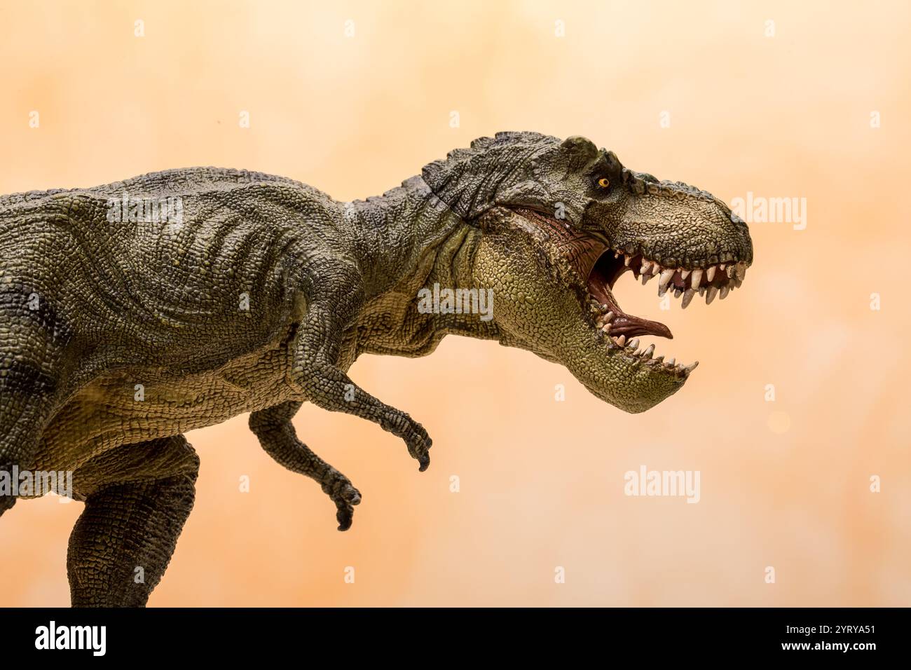 Plastic tyrannosaurus rex dinosaur toy roaring ferociously against a ...
