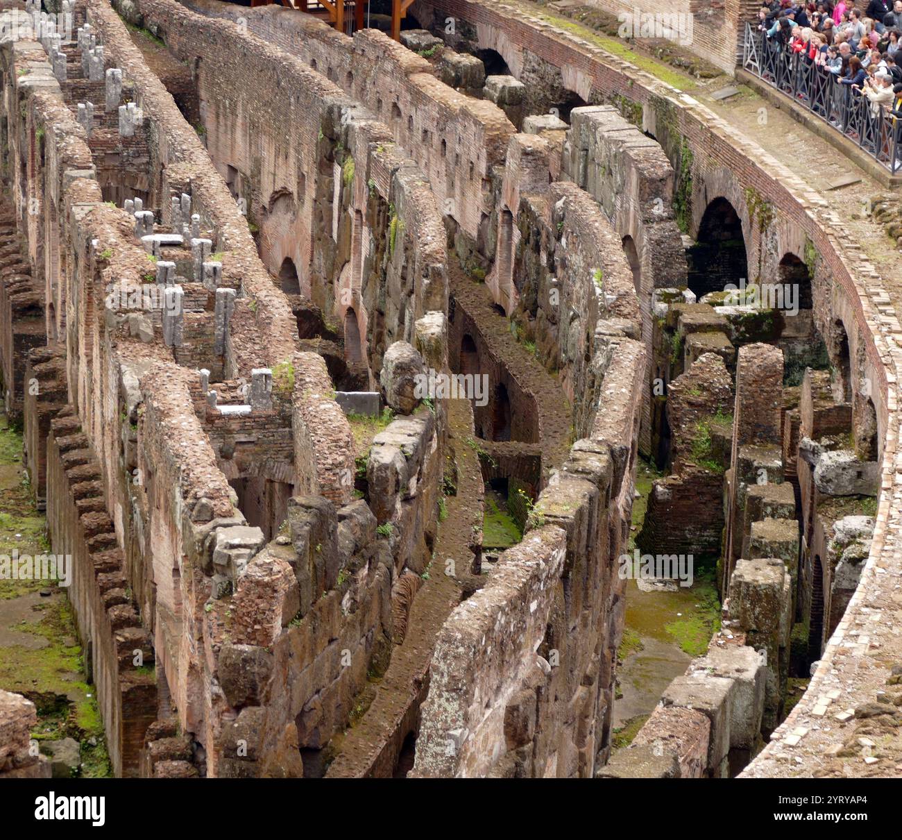 The Colosseum or Coliseum, amphitheatre in the centre of the city of ...