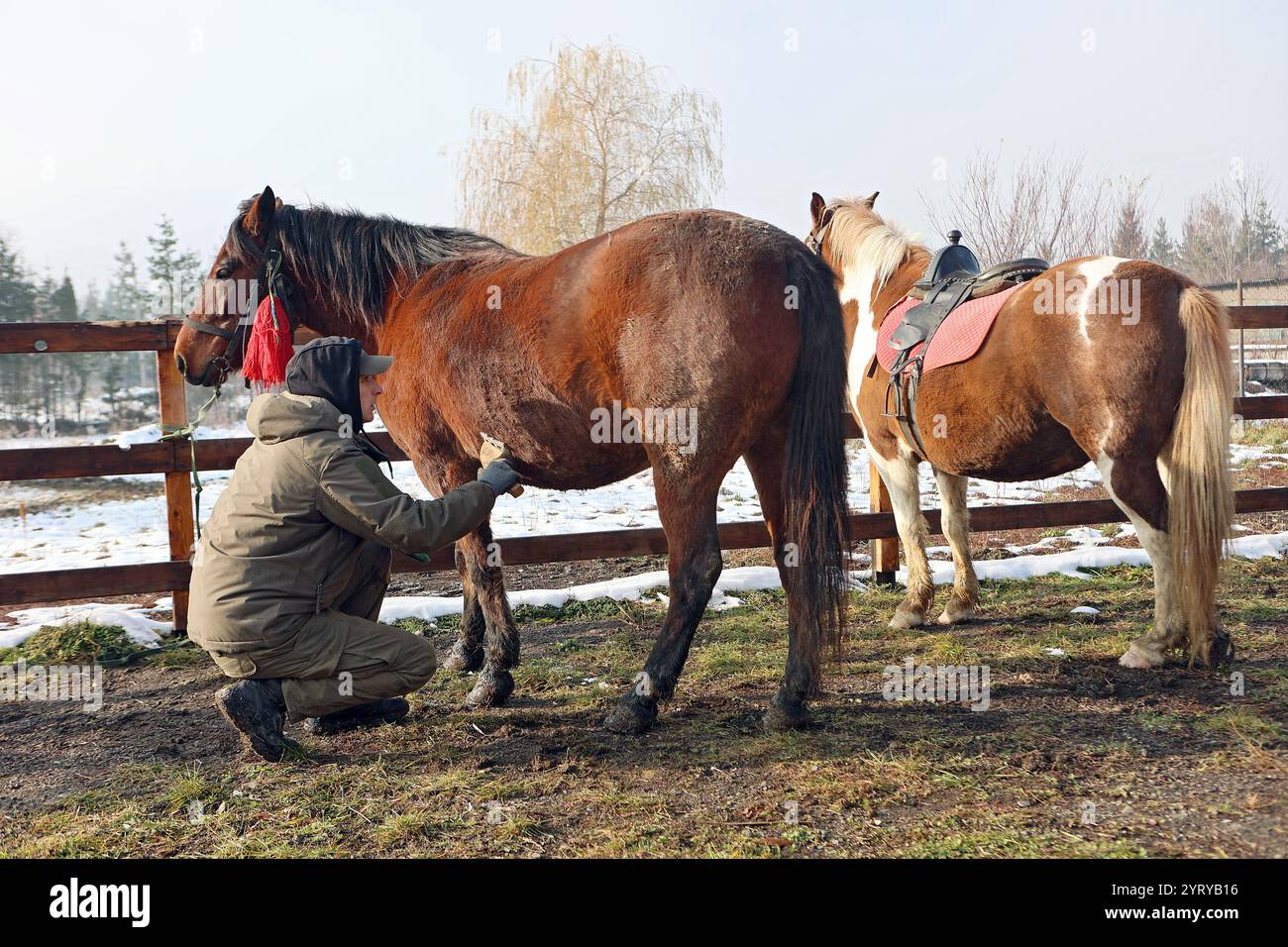 Non Exclusive: KOSIV, UKRAINE - DECEMBER 2, 2024 - A worker brushes a ...