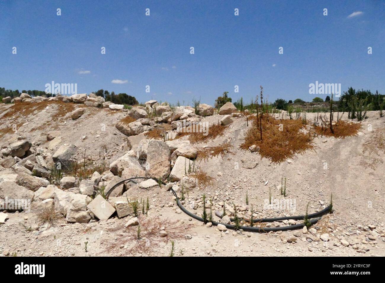 Ruins of Bayt Jibrin (Beit Guvrin), Israel. During the 8th century BCE ...