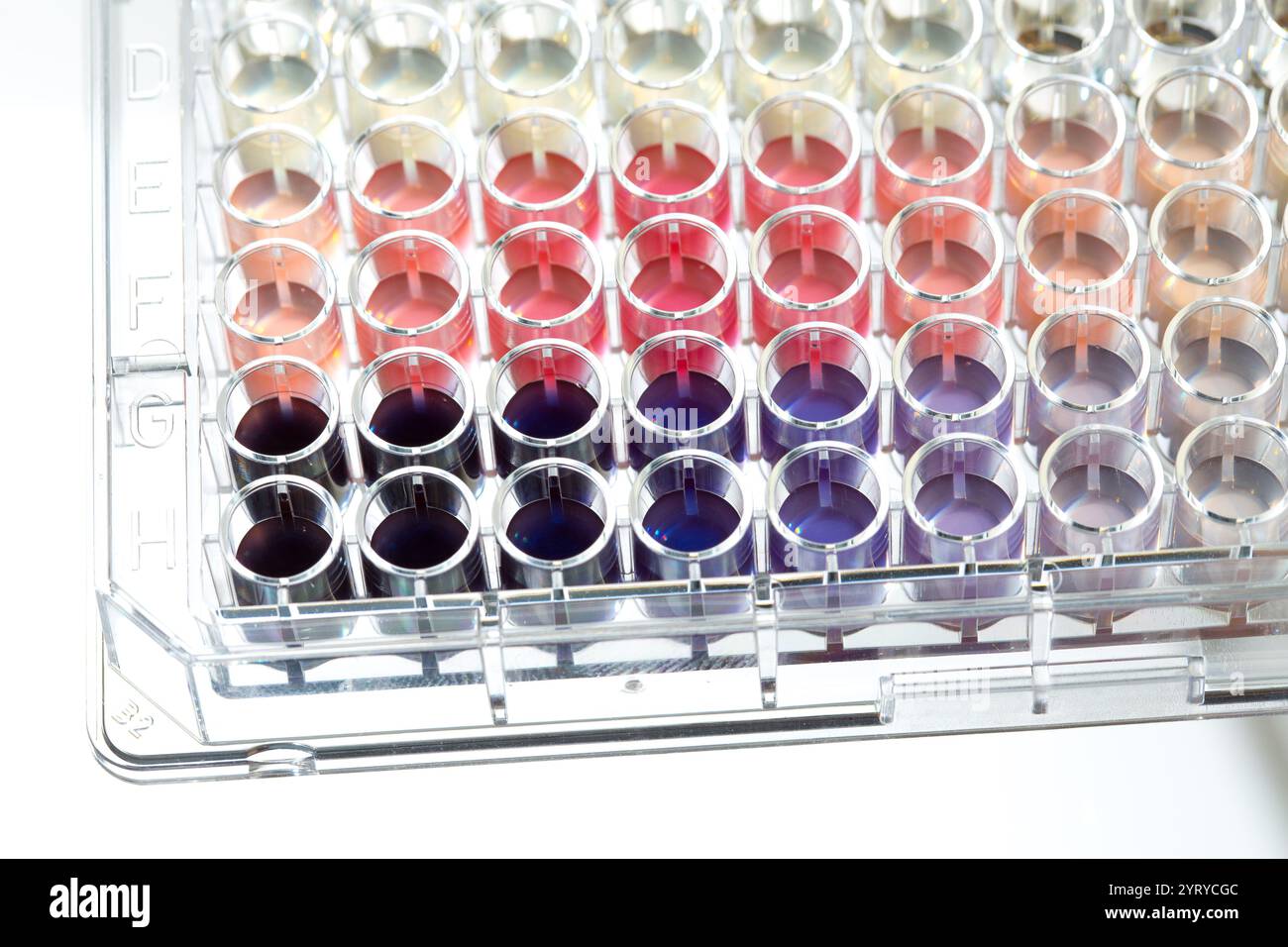 Colorful chemical samples filling a multiwell plate during a scientific ...