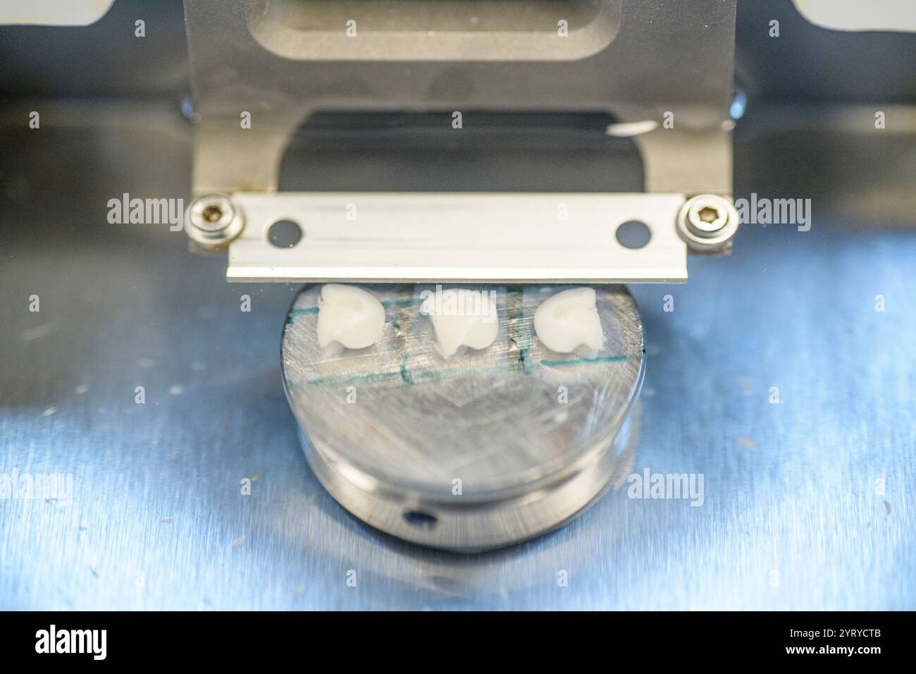 Scientist slicing mouse brain tissue for examination and research ...