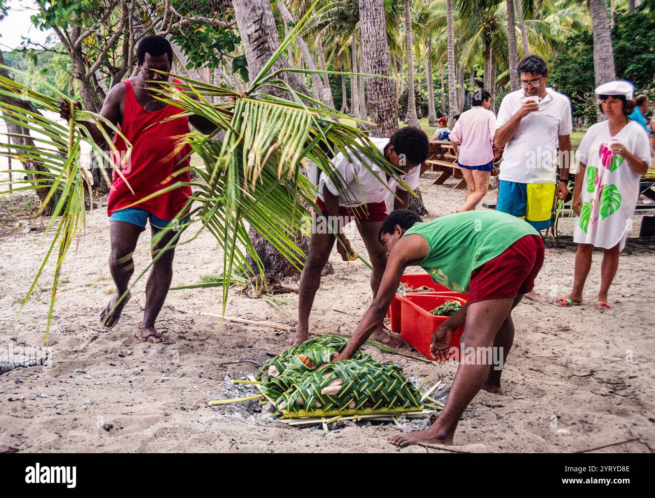 Fijian men preparing a lovo or earth oven, for cooking a traditional ...