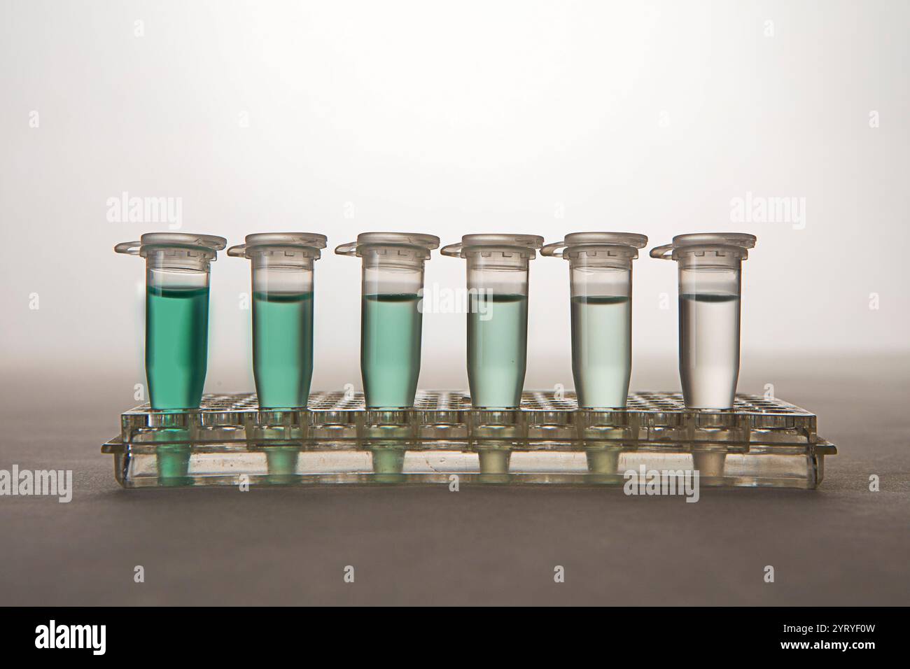 Plastic microtubes with colorful liquid samples for analysis in a ...
