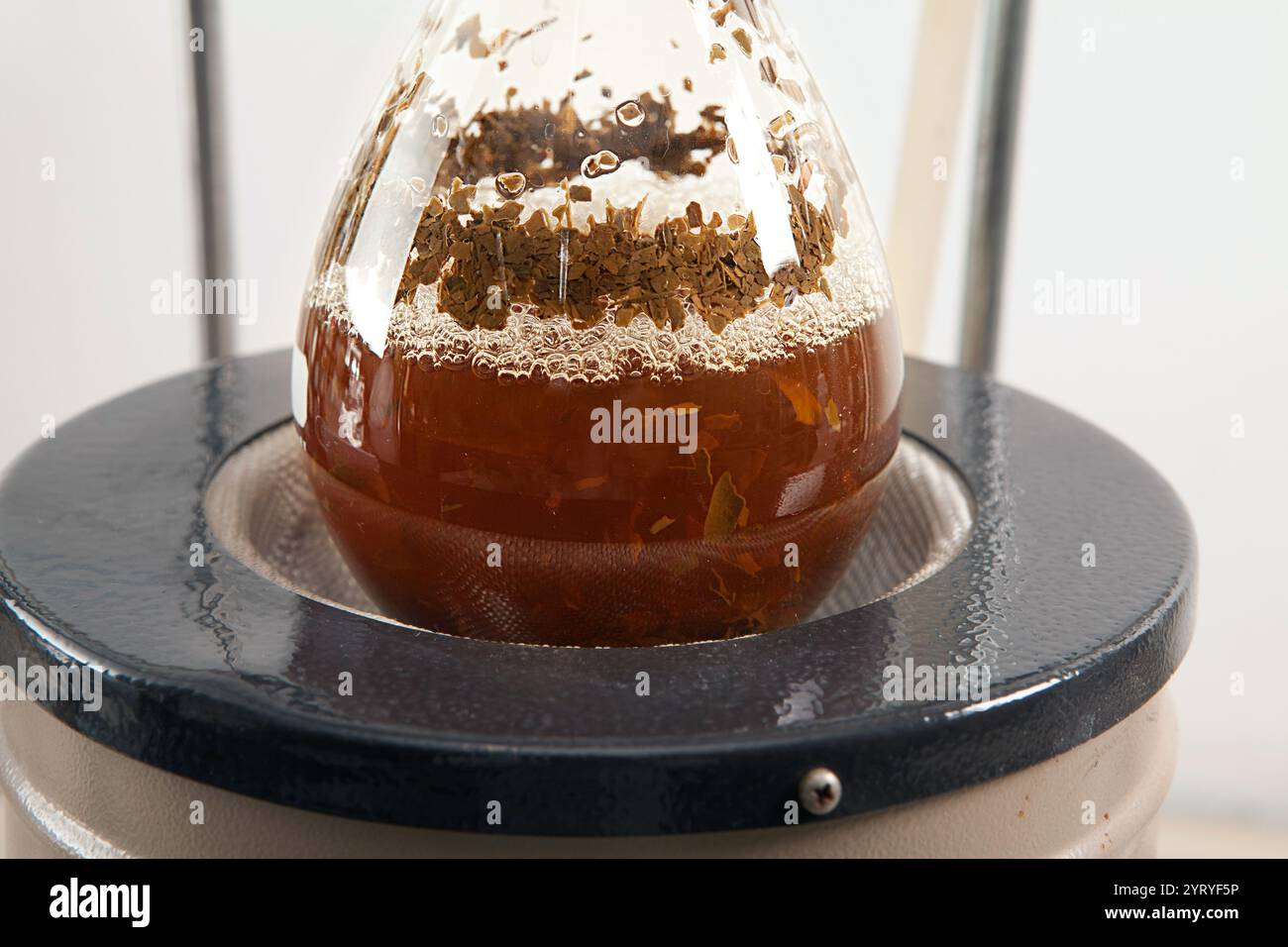 Herbal tea preparation inside laboratory glassware during phytotherapy ...