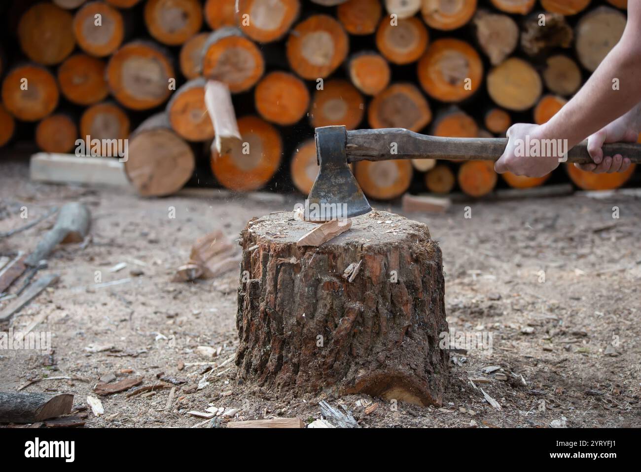 The hand of a woodcutter chops wood with a sharp axe, chips fly around ...