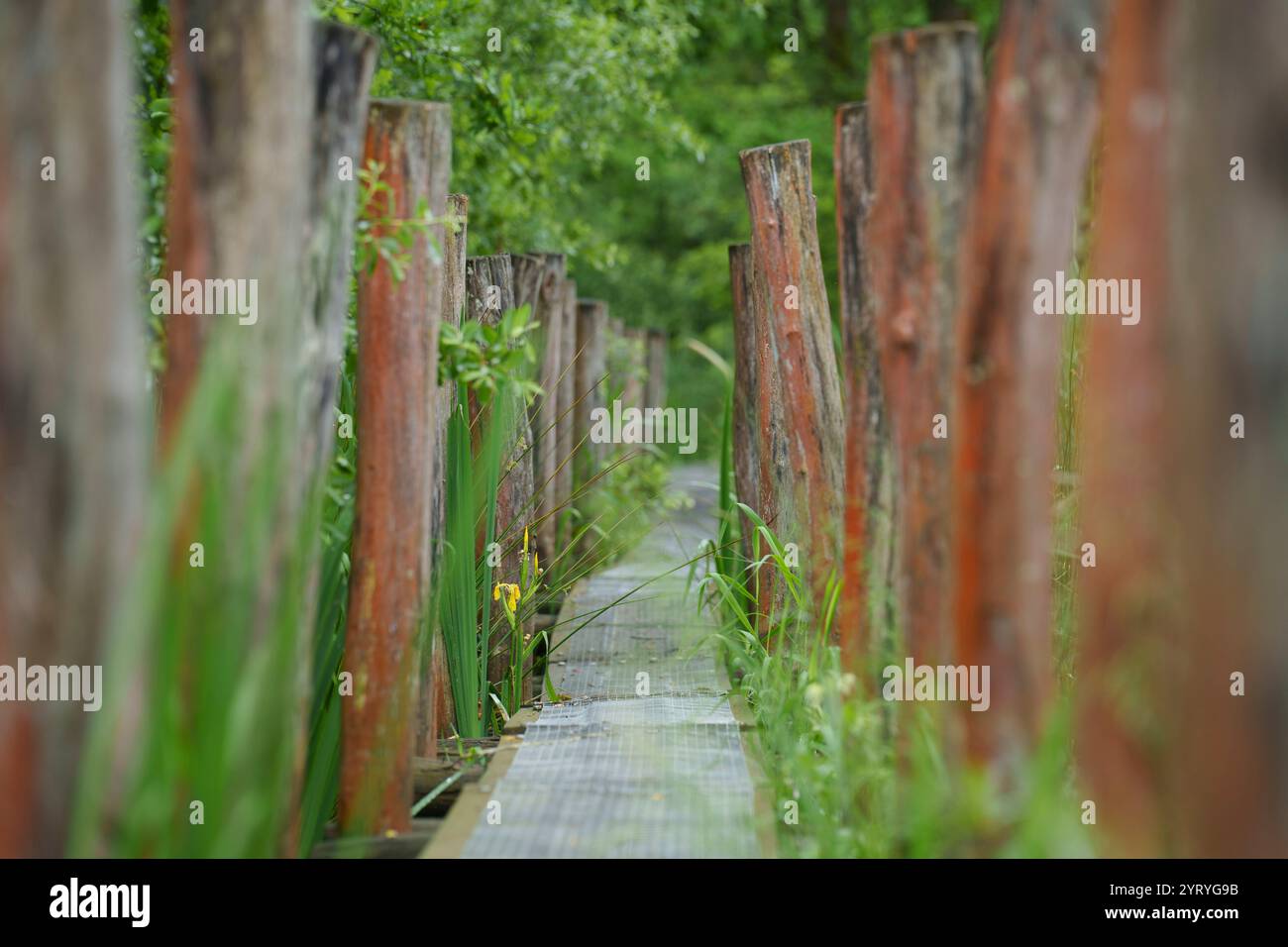 Emphasizing tranquility hi-res stock photography and images - Alamy