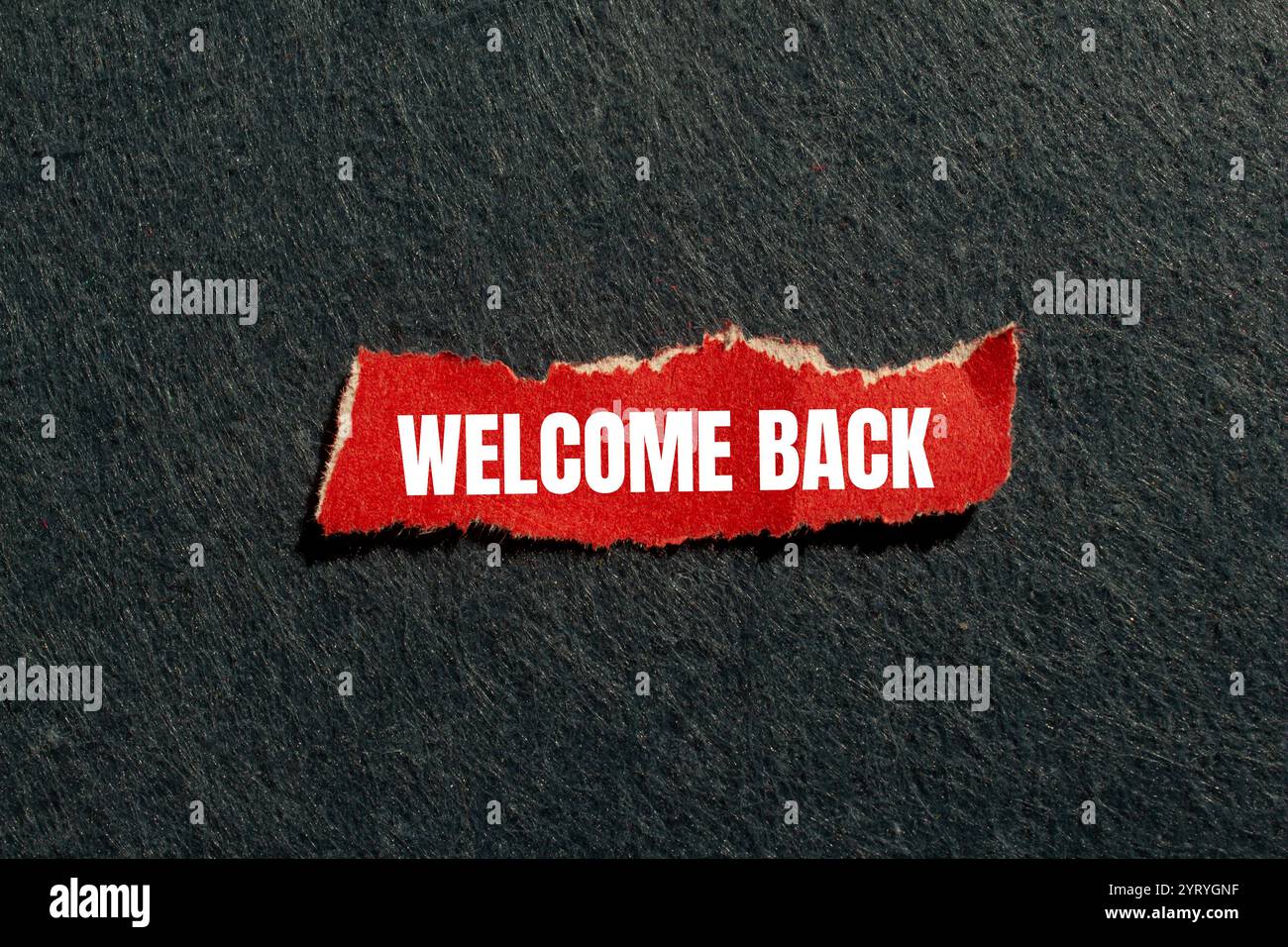 Welcome back message written on ripped torn red paper piece with gray ...