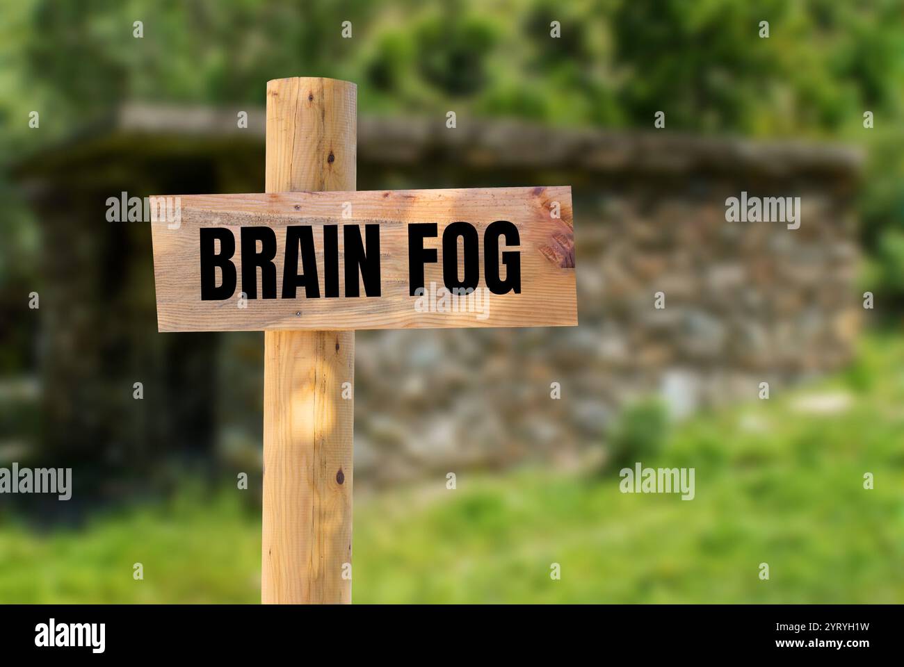 Brain fog message written on wooden sign with blurry nature background ...