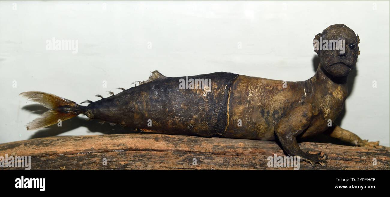 Mythical sea creatures hi-res stock photography and images - Alamy