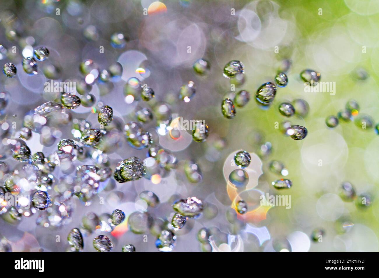 Refreshing water drops sparkling in the air with a beautiful bokeh ...