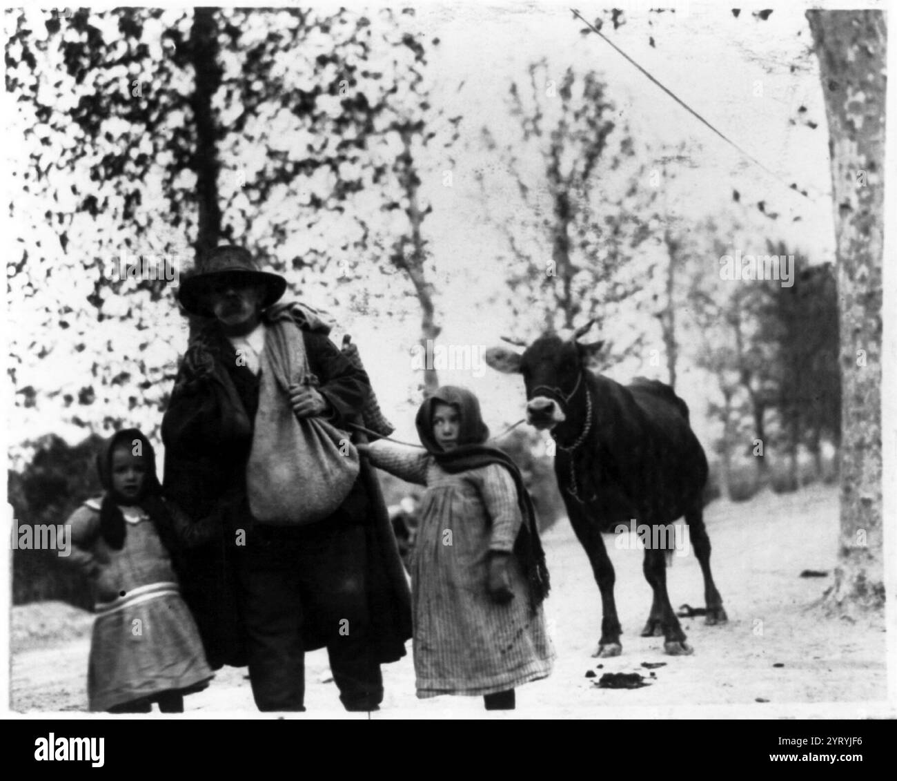 War refugees (man and 2 girls) with a cow returning home on a road ...