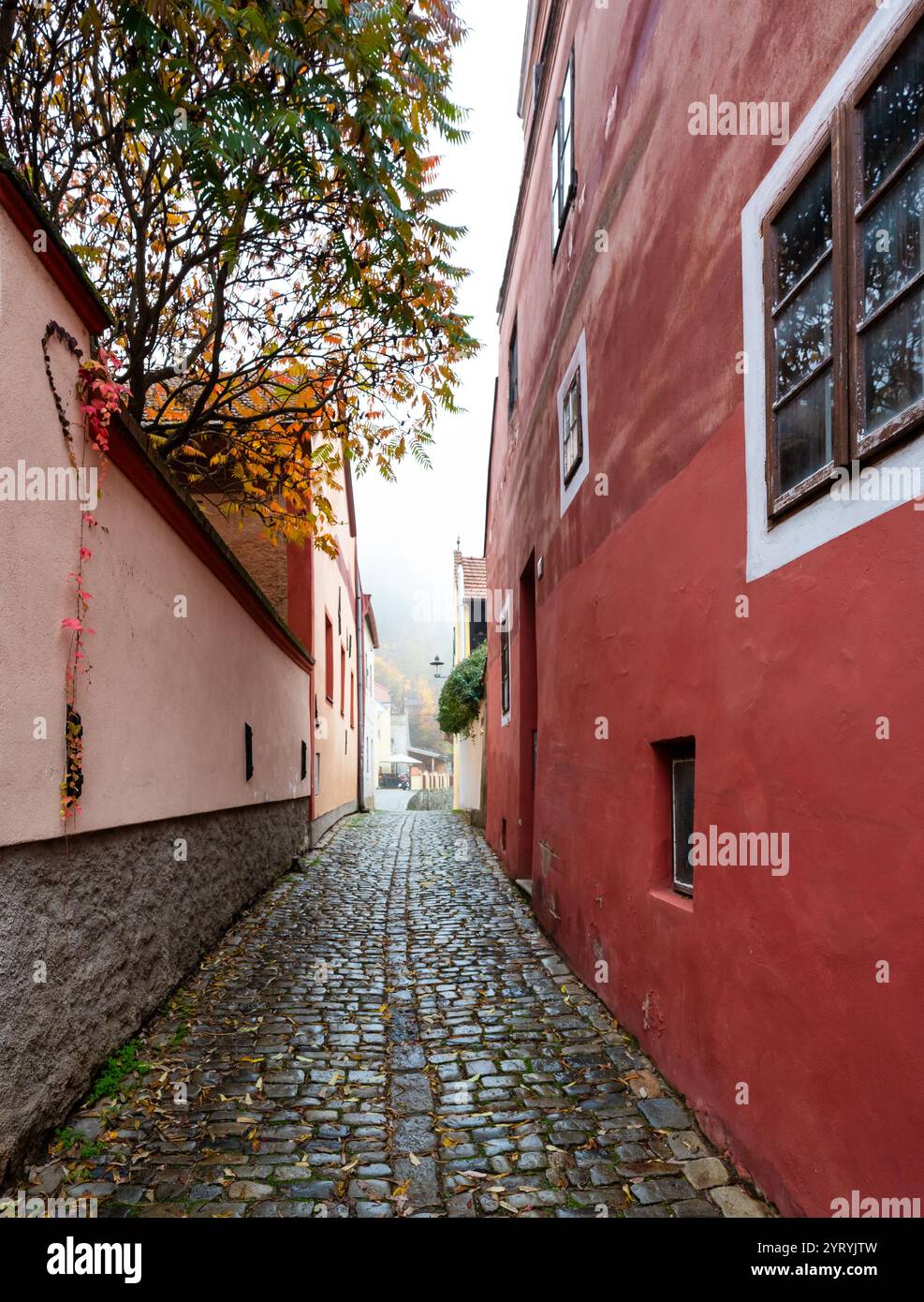 A charming view of narrow streets and old Baroque buildings in Cesky ...