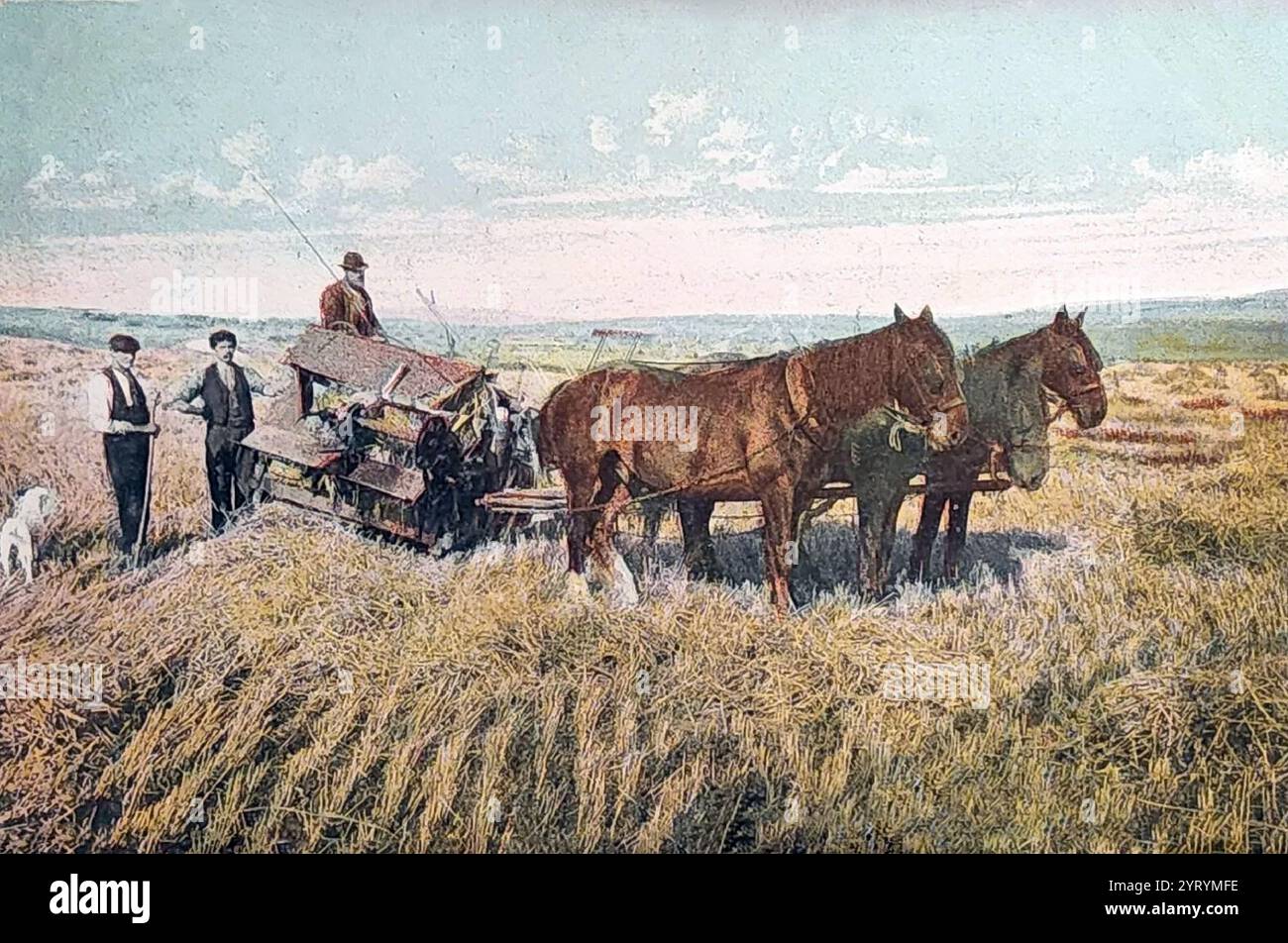 English farm scene circa 1910 Stock Photo - Alamy