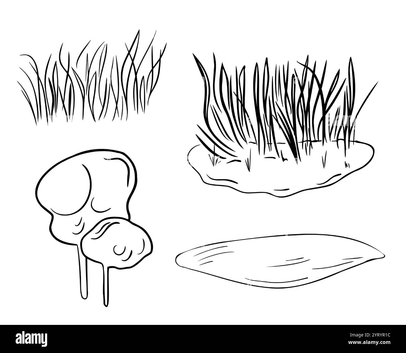 Grass clusters hi-res stock photography and images - Alamy