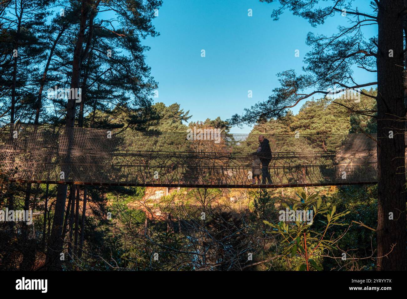 A 50-metre rope bridge at The Blue Pool, Wareham, Dorset, UK Stock ...