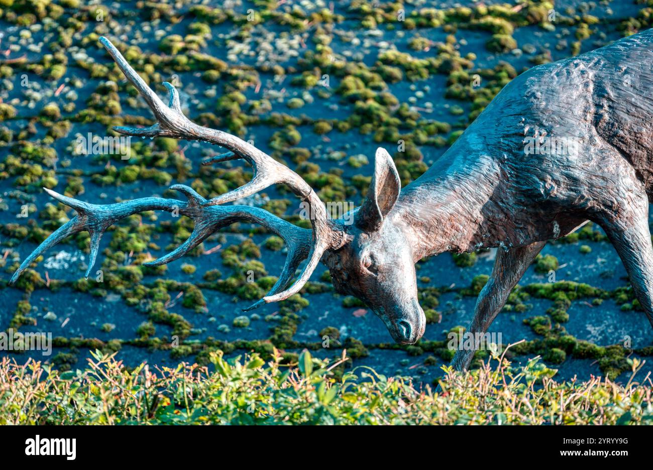 Statue of a stag at The Blue Pool, Wareham, Dorset, UK Stock Photo - Alamy