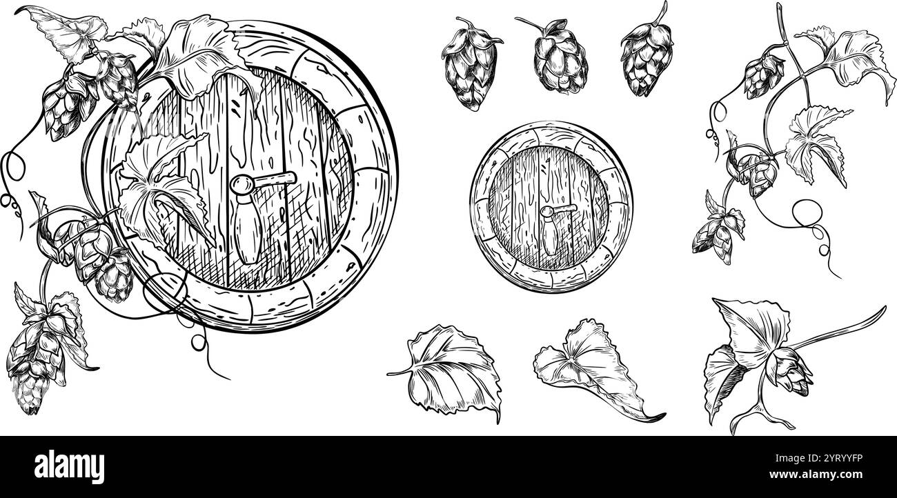 Hops on vine and wooden barrel black white vector graphic illustration ...