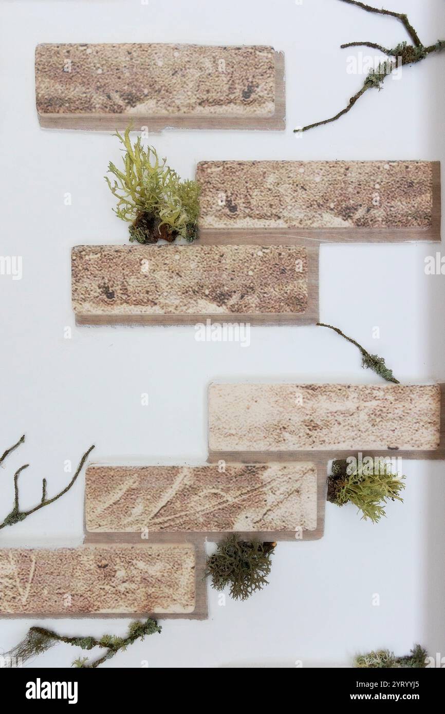 White wall with bricks and moss, decor interior design indoors Stock ...