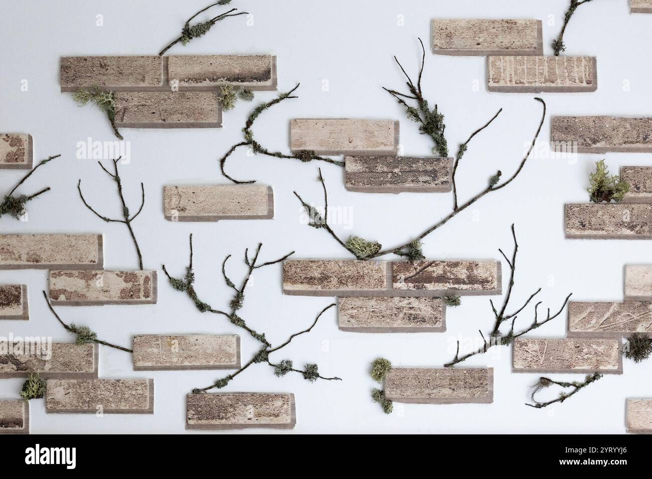 White wall with bricks and moss, decor interior design indoors Stock ...