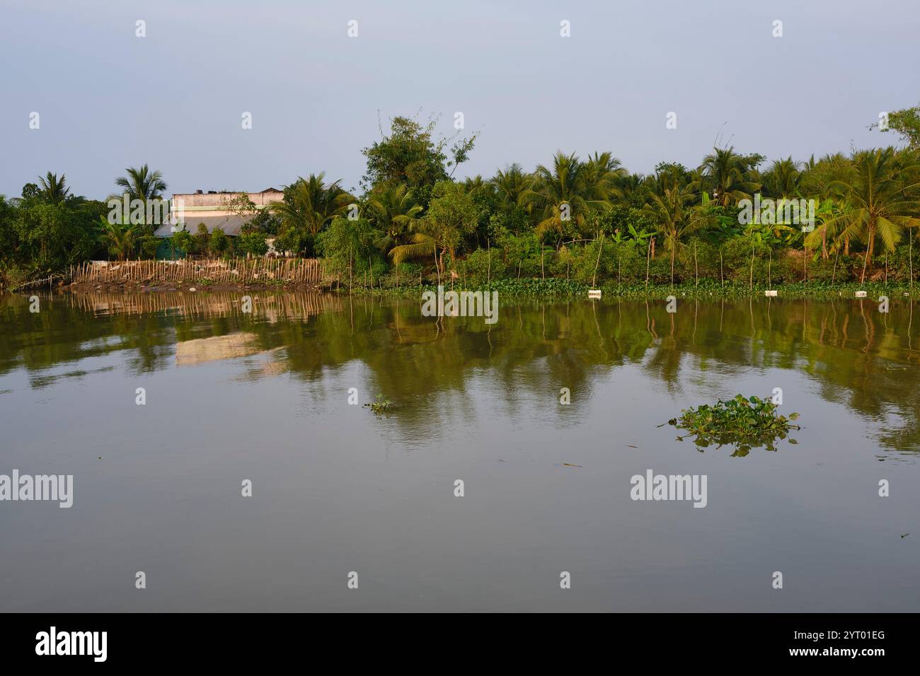 River in Mekong Delta Stock Photo - Alamy