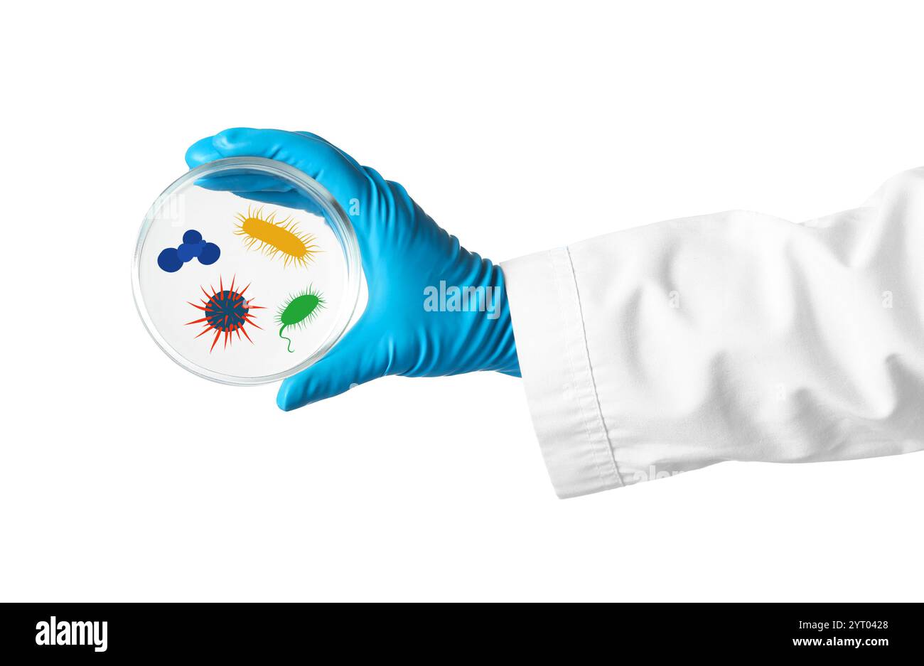 Scientist holding Petri dish with microbes on white background, closeup ...