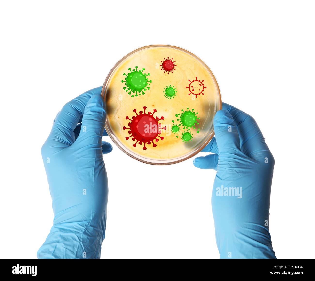 Scientist holding Petri dish with microbes on white background, closeup ...