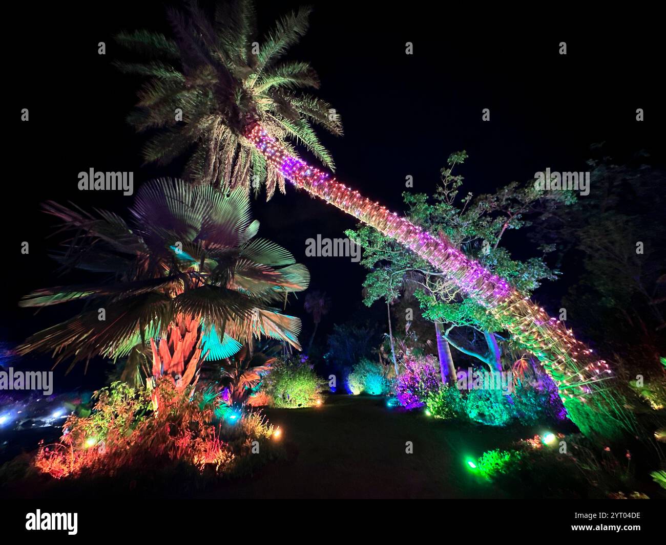 Naples, United States. 04th Dec, 2024. Johnsonville Night Lights in the ...