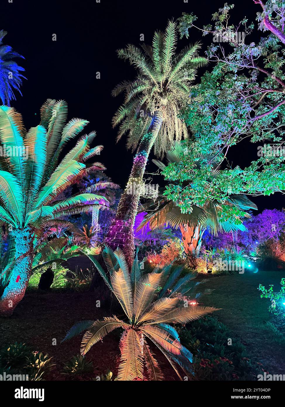 Naples, United States. 04th Dec, 2024. Johnsonville Night Lights in the ...