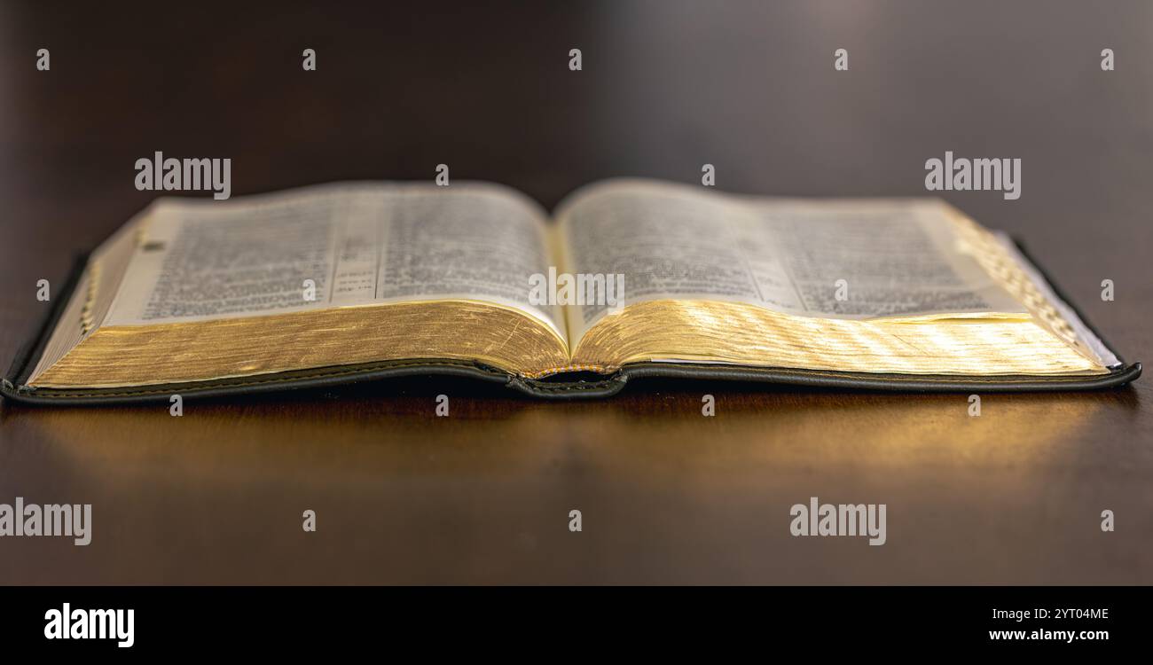 Bible close-up. Open holy book Bible. Christianity, faith and religion ...