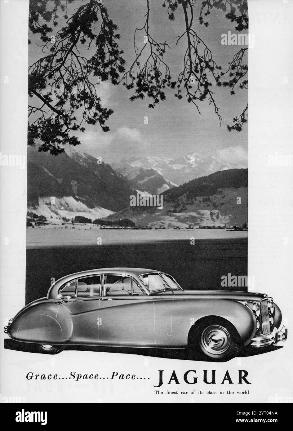 Press Advert for Jaguar Motor Car May 22nd 1954 Picture by The Henshaw ...