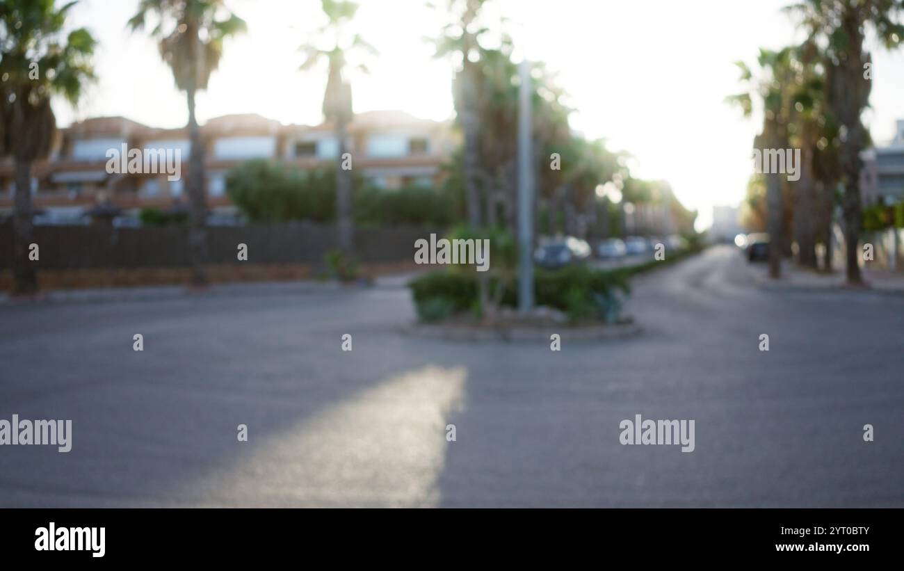 Blurred outdoor street scene featuring palm trees and residential ...
