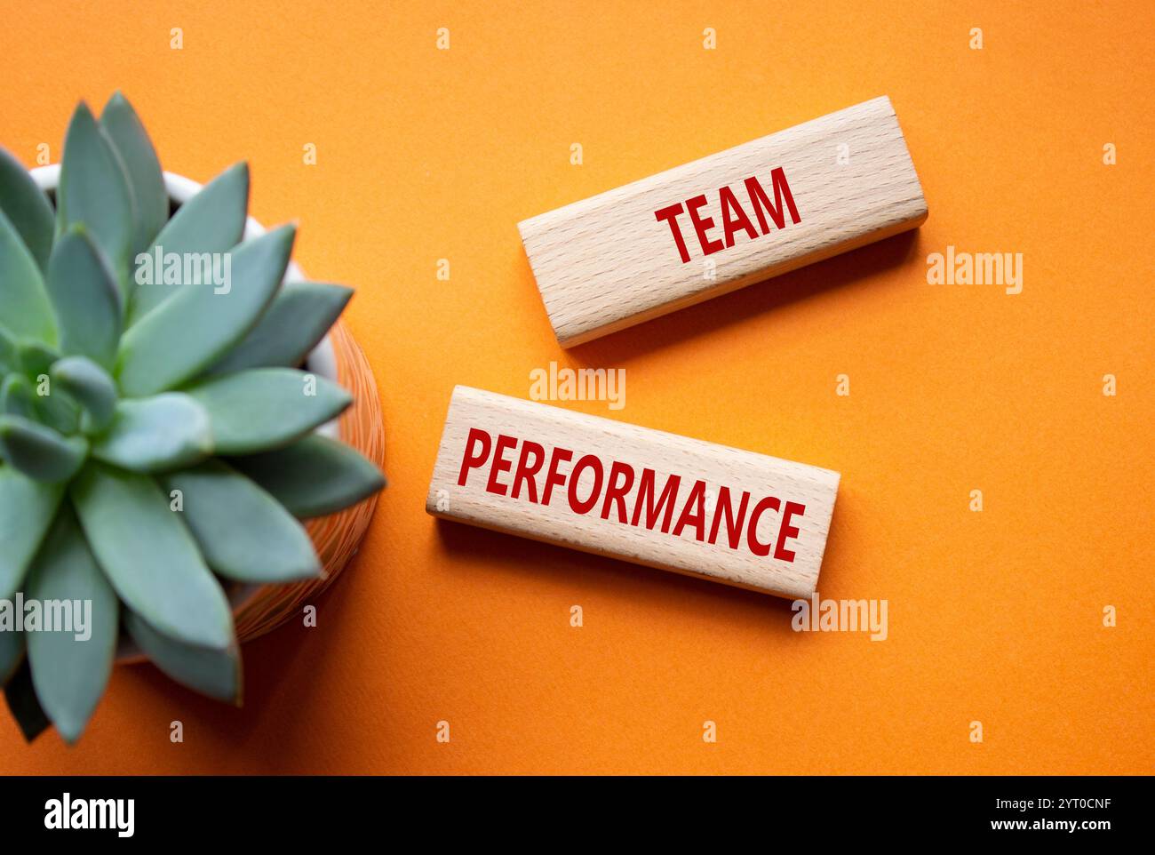Team Performance symbol. Wooden blocks with words Team Performance ...