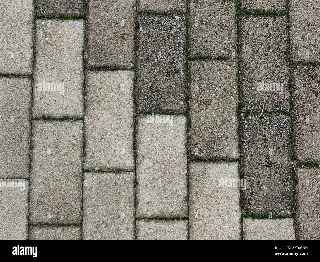 Street Puzzle: Contrasts of Wet and Dry Granite Pavement Stock Photo ...