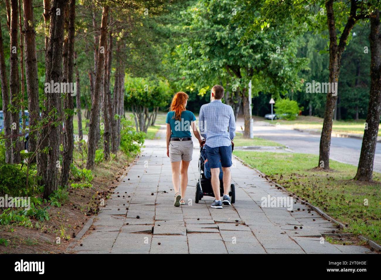 young parents walking with a stroller in a park among pine trees Stock ...