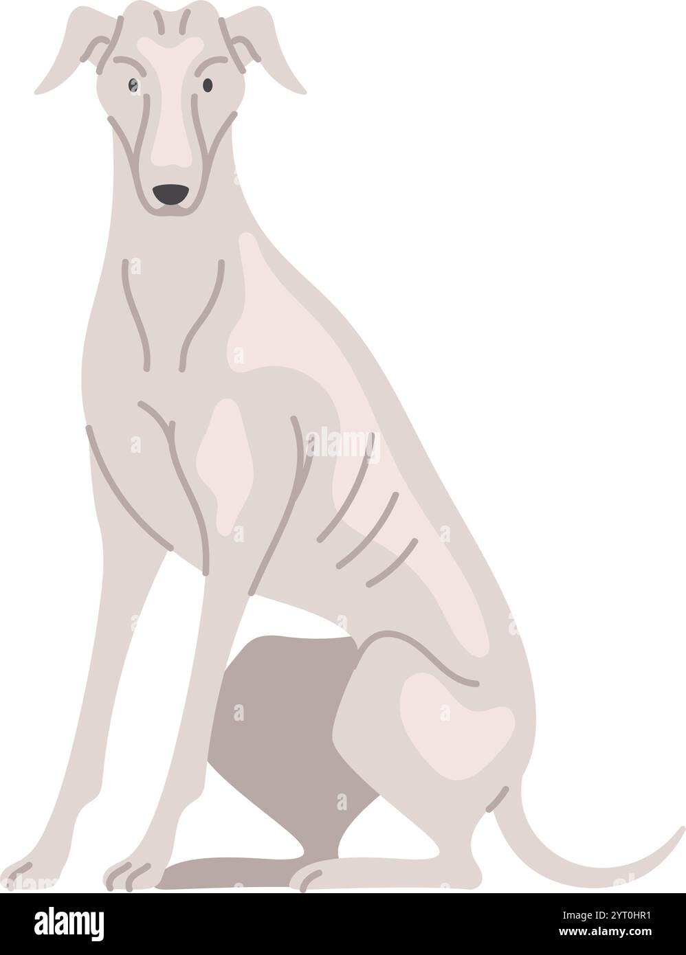 greyhound dog sitting icon Stock Vector Image & Art - Alamy