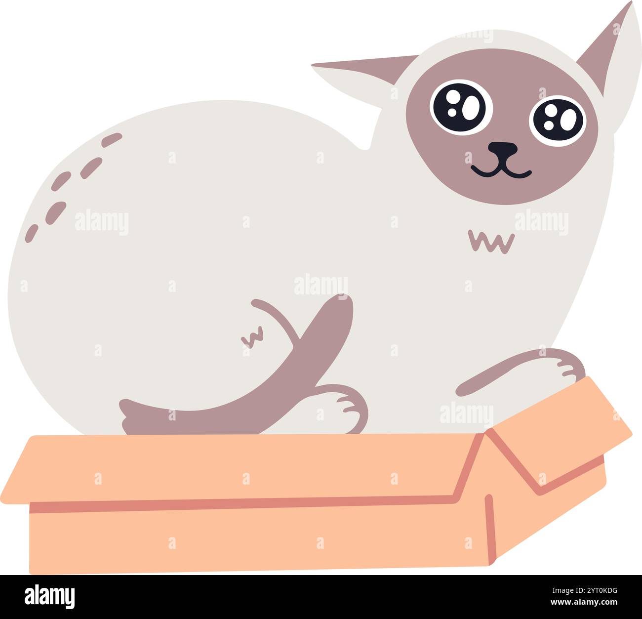 Lying on cardboard Cut Out Stock Images & Pictures - Alamy