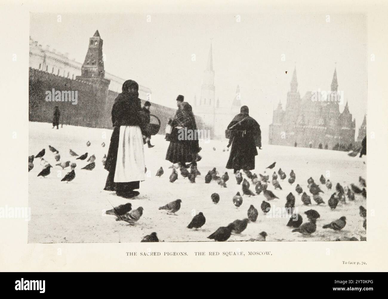 The Sacred Pigeons, The Red Square, Moscow. Archive Photography ...