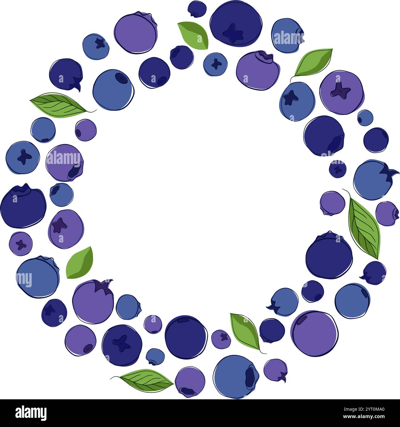 Blackberry berry leaf line Stock Vector Images - Alamy