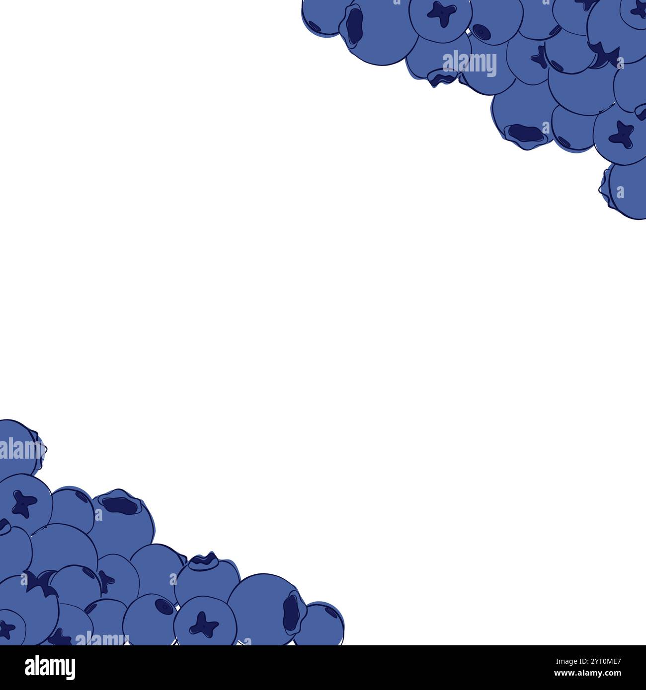 Hand drawn graphic line illustrations of blueberry isolated on white ...